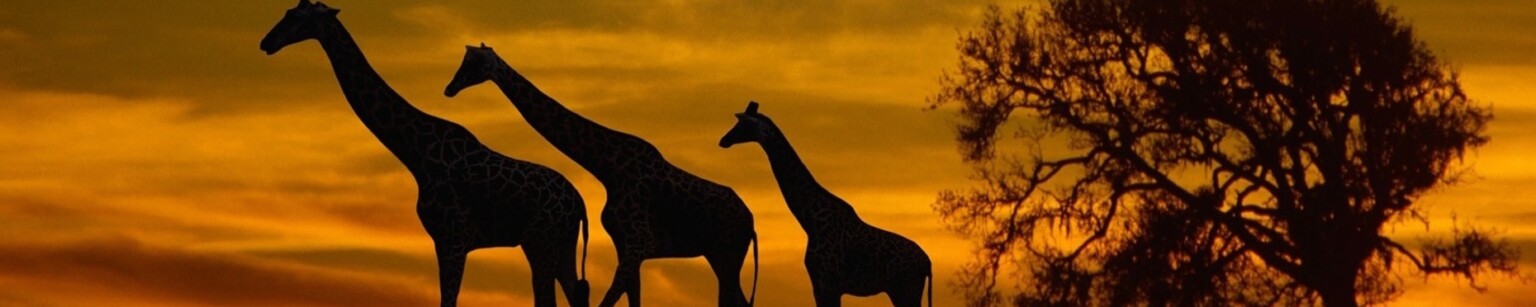 Michael Ruge: Hvad nu USA? – Blixen Klub Allerød – 1